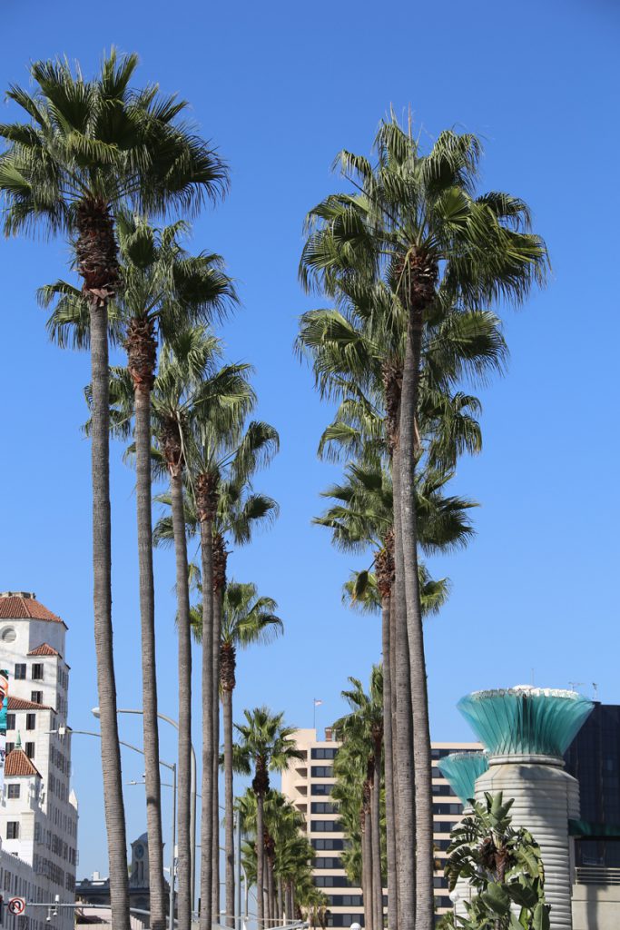 PAIMA-7 - Paima Movers