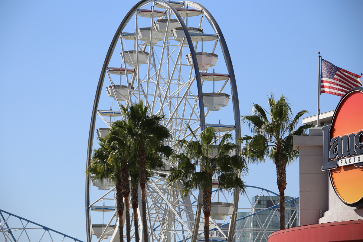 PAIMA-8 - Paima Movers